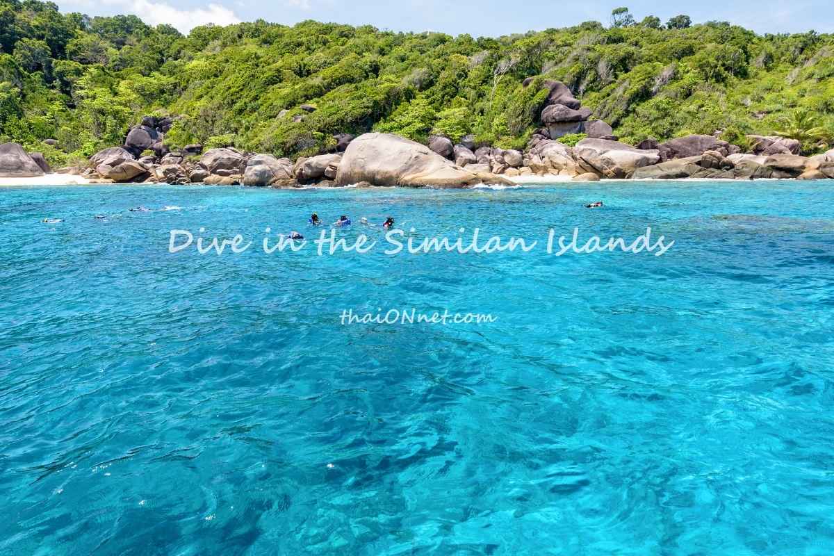 Dive In The Similan Islands