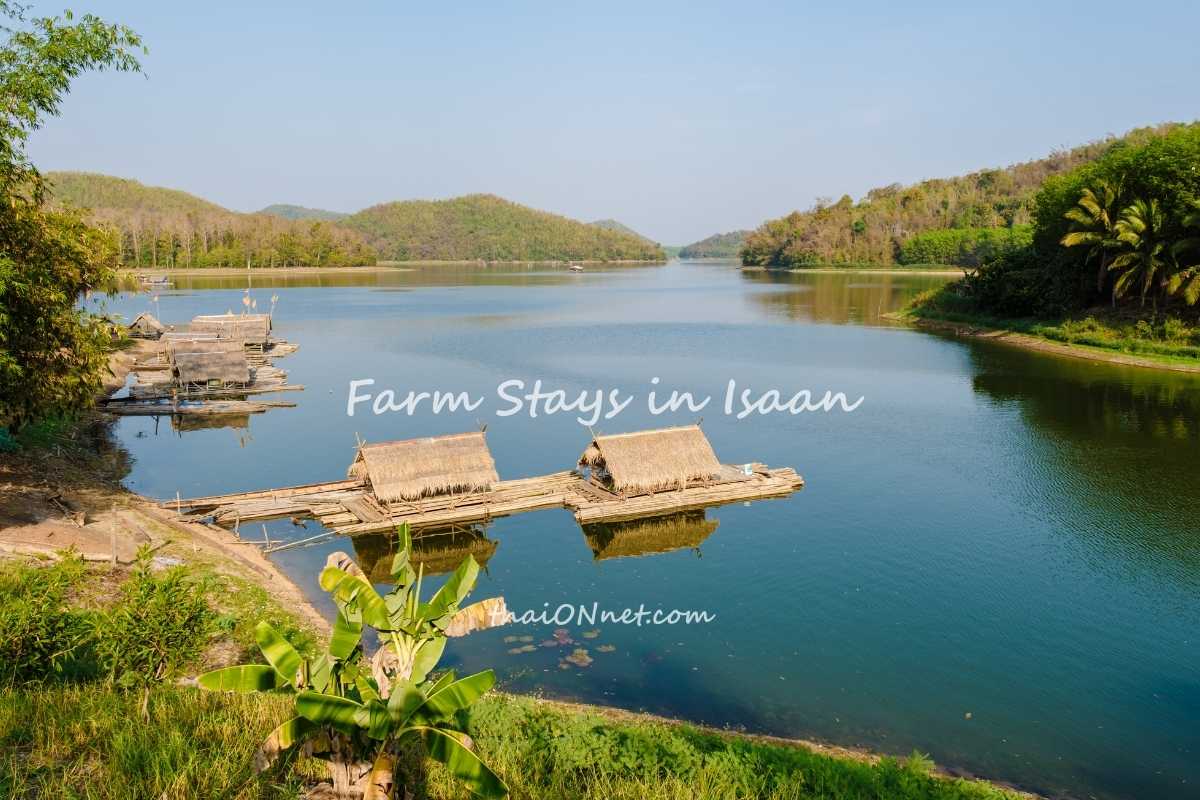 Discover The Best Farm Stays In Isaan, Thailand
