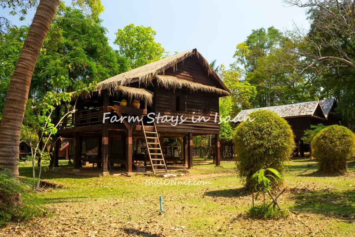 Discover The Best Farm Stays In Isaan, Thailand