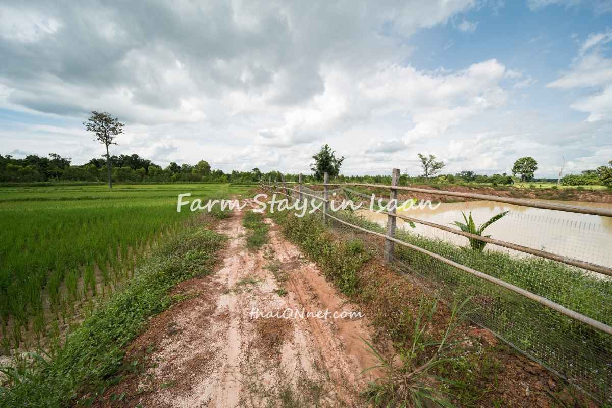 Discover The Best Farm Stays In Isaan, Thailand