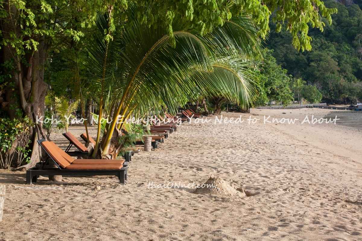 Koh Yao Noi Everything You Need To Know About